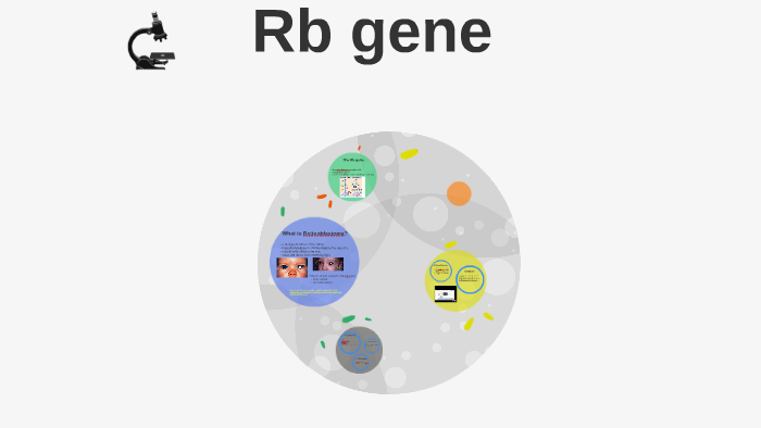 Rb gene ( Retinoblastoma) by Zahria Pennyman on Prezi