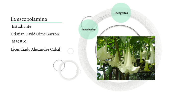 Escopolamina by cristian tu gefa on Prezi