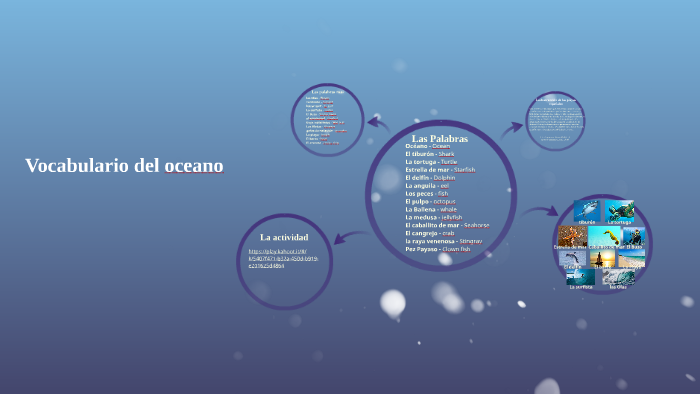 Vocabulario del oceano by Makenzie Hickey on Prezi