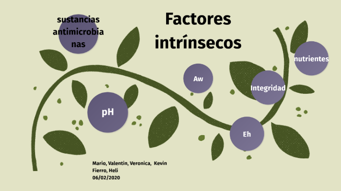 factores intrinsecos by Mario Méndez on Prezi