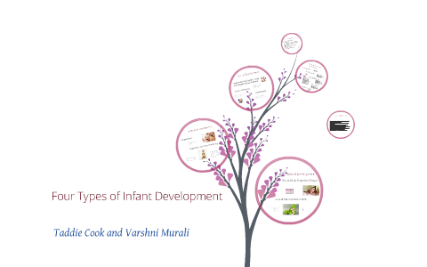 Four Types of Infant Development by Elizabeth Cook