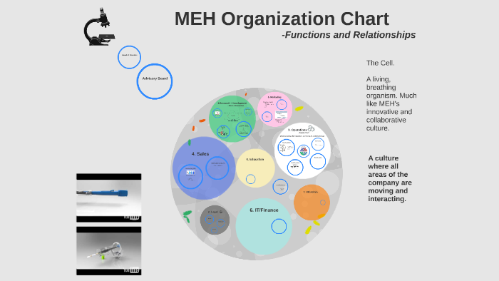 MEH Organization Chart by Steven Thaxton on Prezi
