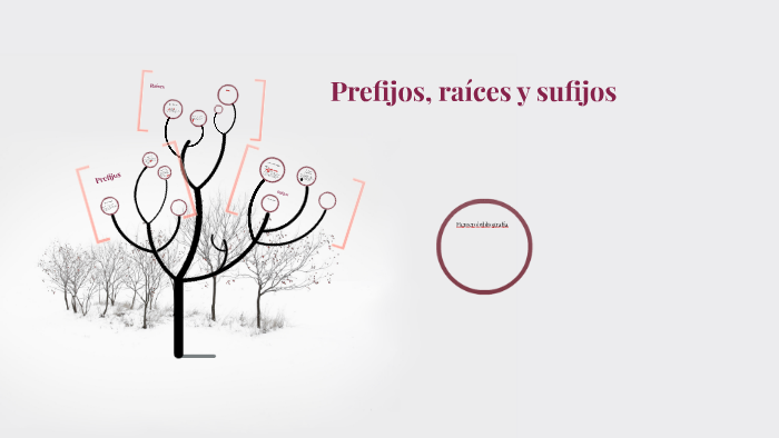 Prefijos, raíces y sufijos by Arely Ponce on Prezi