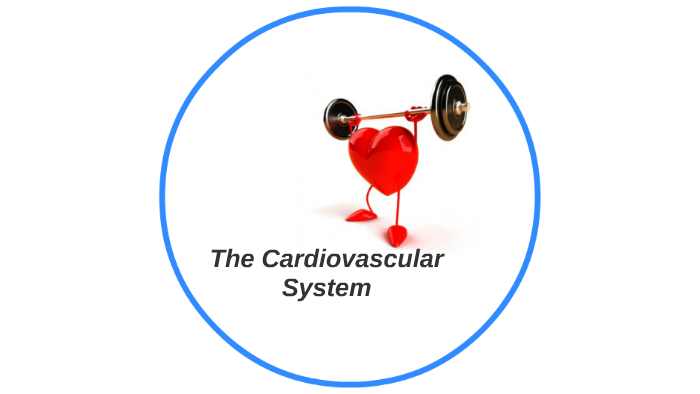 The Cardiovascular System by king tigers on Prezi