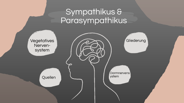 Sympathikus und Parasympathikus by Nisa Karacaer on Prezi