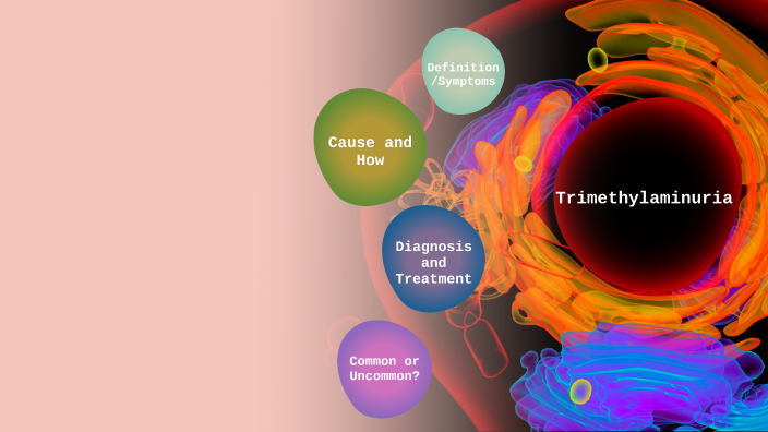 Trimethylaminuria Disorder by Leah Miranda on Prezi