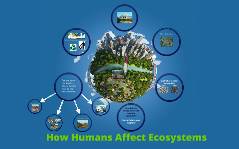 How Humans Effect Ecosystems by Paige Bartalot on Prezi
