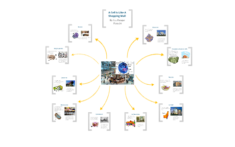 A Cell is Like a Shopping Mall by Lee Paragas on Prezi