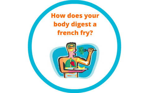 How does your body digest food? by