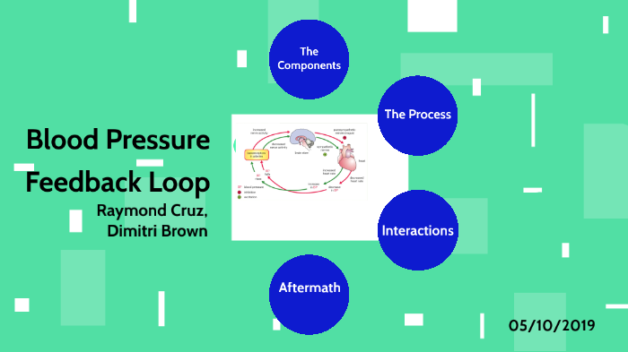 Blood Pressure Feedback Loop by Dimitri Brown on Prezi
