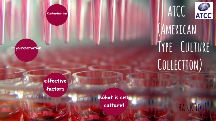 ATCC (american type culture collection) by Deniz Yılmaz on Prezi