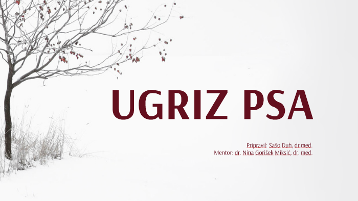 UGRIZ PSA by Saso Duh on Prezi
