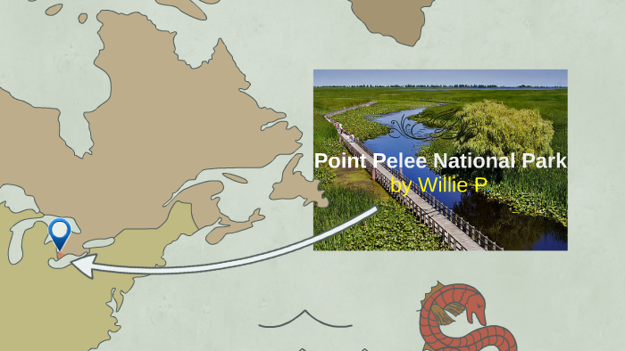 Point Pelee National Park by William Pai on Prezi