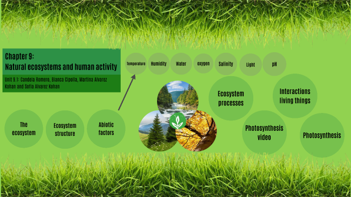 Chapter 9: Natural ecosystems and human activity by sofia boca on Prezi