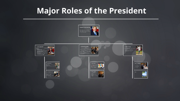 Major Roles of the President by