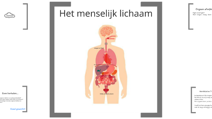 Het menselijk lichaam by on Prezi