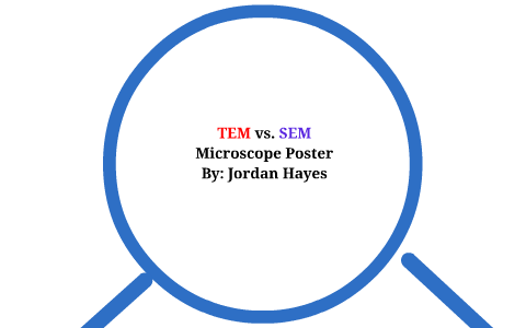 TEM vs. SEM Microscope by Jordan Hayes on Prezi