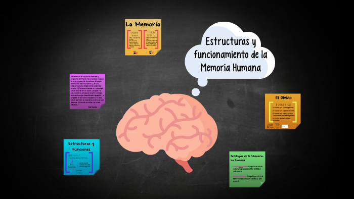 Estructuras y funcionamiento by Lucas Godoy on Prezi