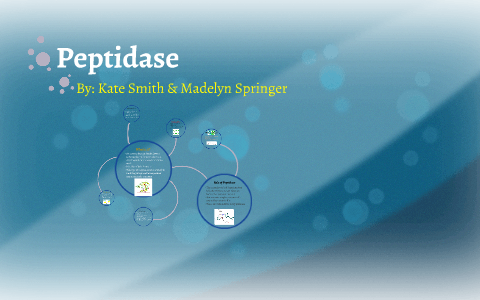Peptidase by Kate Smith on Prezi