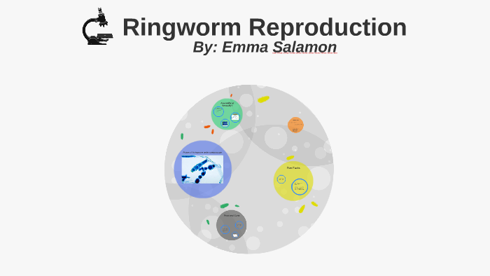 Ringworm Reproduction by Emma Salamon on Prezi