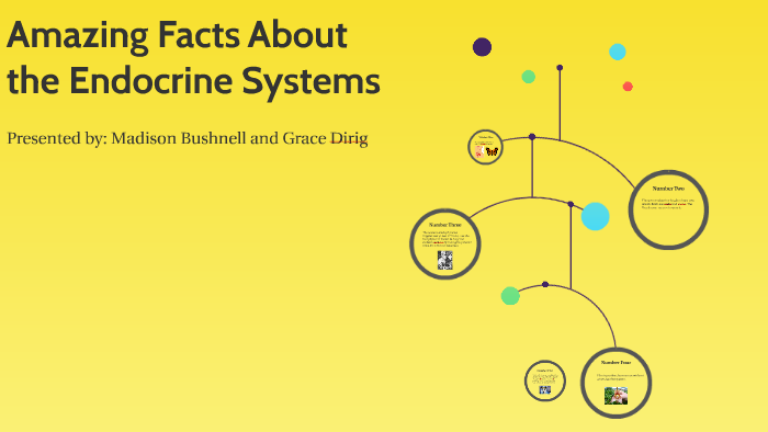 Amazing Facts About the Endocrine Systems by Grace Dirig on Prezi