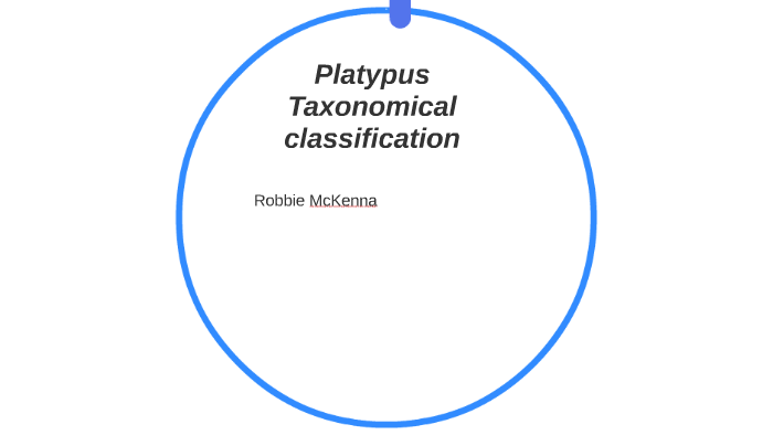 Platypus Taxonomical classification by robbie mckenna on Prezi