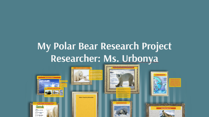 My Animal Research Project on Polar Bears by Dalian Urbonya on Prezi