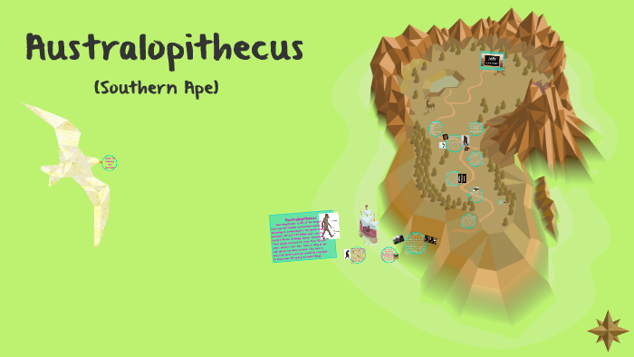 Australopithecus by Simar Sahota on Prezi