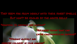 Invasive Species Horror Movie Poster by Stephanie Rathkamp on Prezi Design