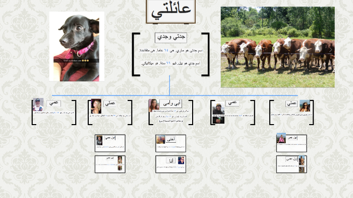 Arabic Family Tree by Timothy Gardner on Prezi