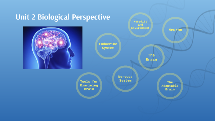 AP Psych Unit 2 Biological Perspective by on Prezi