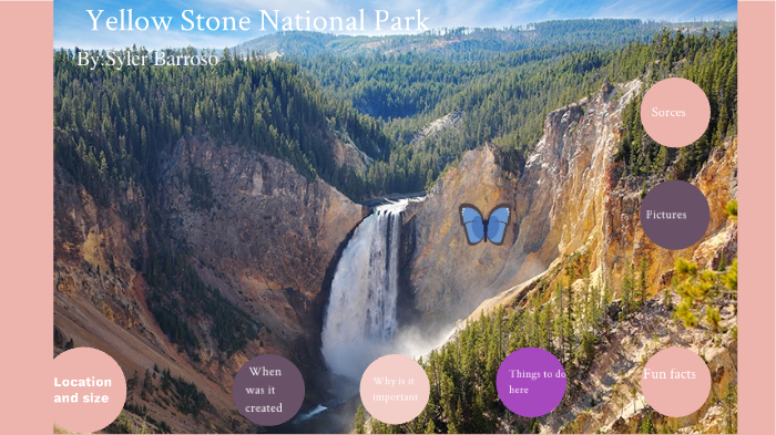 Yellowstone- Syler by Jessica Jurkowski on Prezi