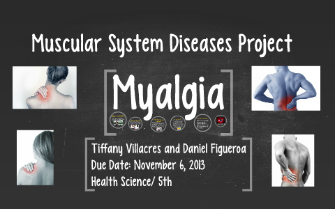Muscular System Diseases Project by Tiffany Villacres on Prezi