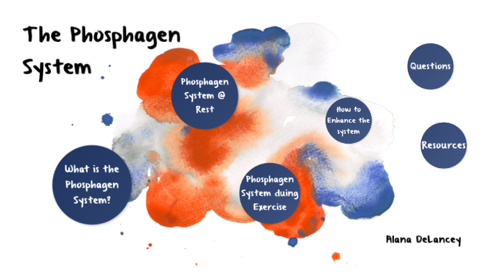 The Phosphagen System by Alana DeLancey on Prezi
