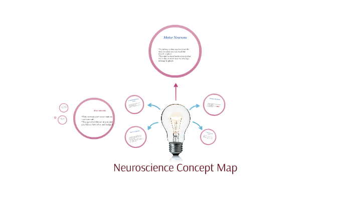 Neuroscience Concept Map by Tyson Colton on Prezi