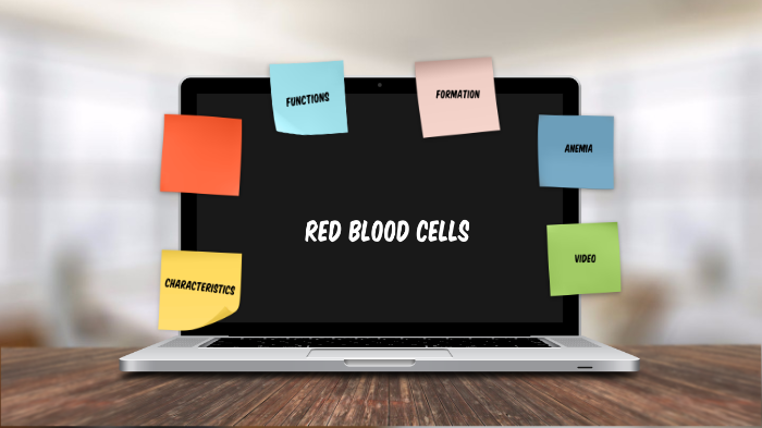 red blood cells by giulia toffoli on Prezi