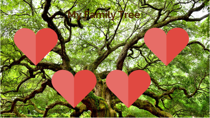 ASL Family Tree Project by Emily Thornton on Prezi