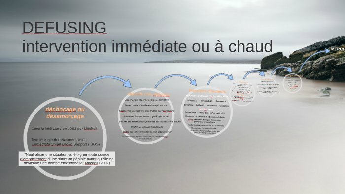 DEFUSING by S C on Prezi