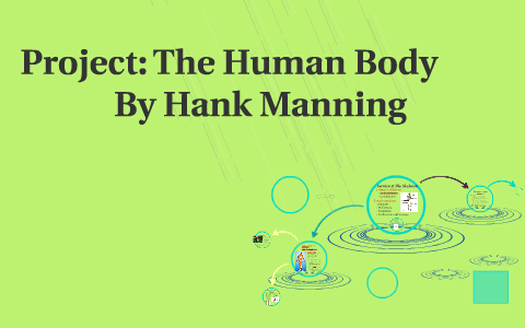 Project: The Human Body by Hank Manning on Prezi