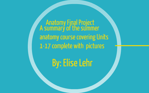 Anatomy Final Project by Elise Lehr on Prezi