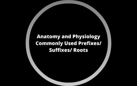 Anatomy and Physiology Commonly Used Prefixes/ Suffixes/ Roo by Maggie ...