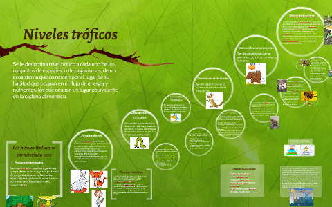 Niveles tróficos by Cynthia Almanza on Prezi