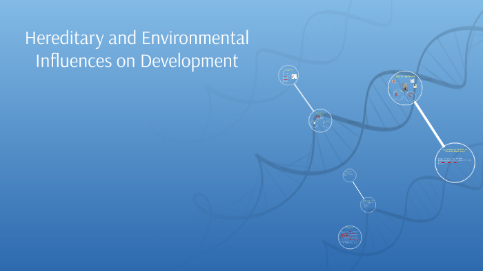 Hereditary and Environmental Influences on Development by Laura Newland ...
