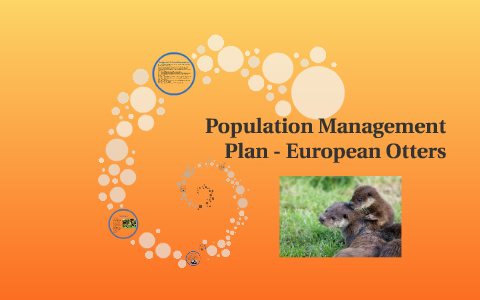 Population Management Plan - Otters by jodie nicholson on Prezi