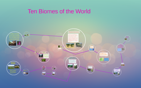 Ten Biomes of the World by Hannah Aune on Prezi