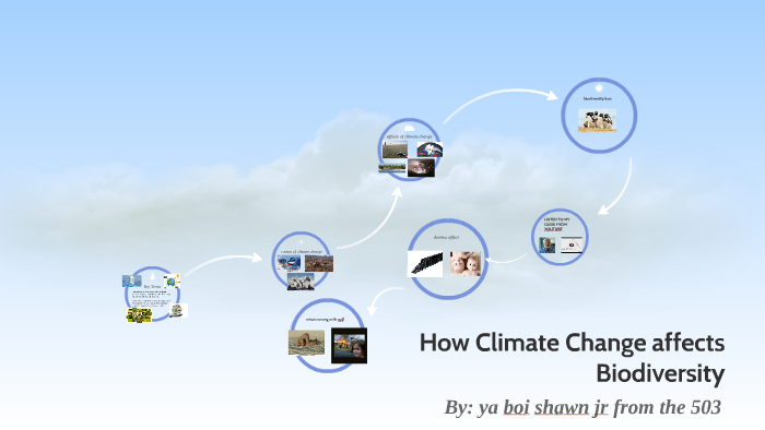 How Climate Change affects Biodiversity by Shawn Newcomb on Prezi