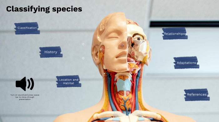 human classification by Jack Littleford on Prezi
