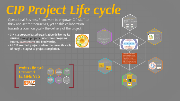 CIP Project Lifecycle by mich rod