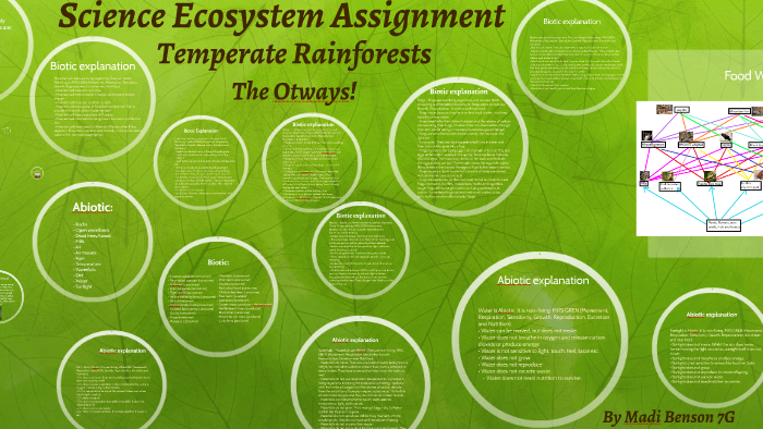 Science Ecosystem Assignment - Temperate Rainforest by Madeleine Benson ...