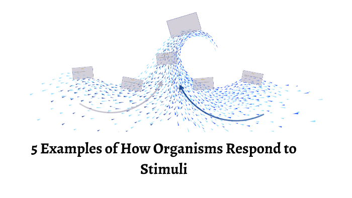 5 Examples of How Organisms Respond to Stimuli by Austin Brashear ...